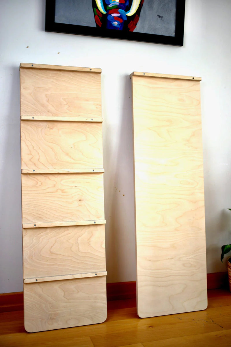 Reversible Ladder Climbing / Rockwall Ramp / Sliding Ramp – Mama's Nest