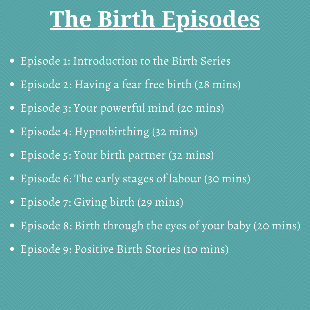 The Pregnancy, Birth & Beyond Series – Mama's Nest