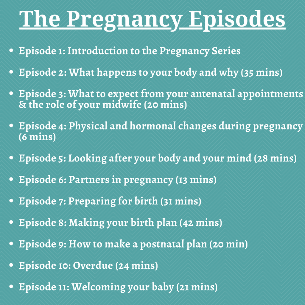 The Pregnancy, Birth & Beyond Series – Mama's Nest